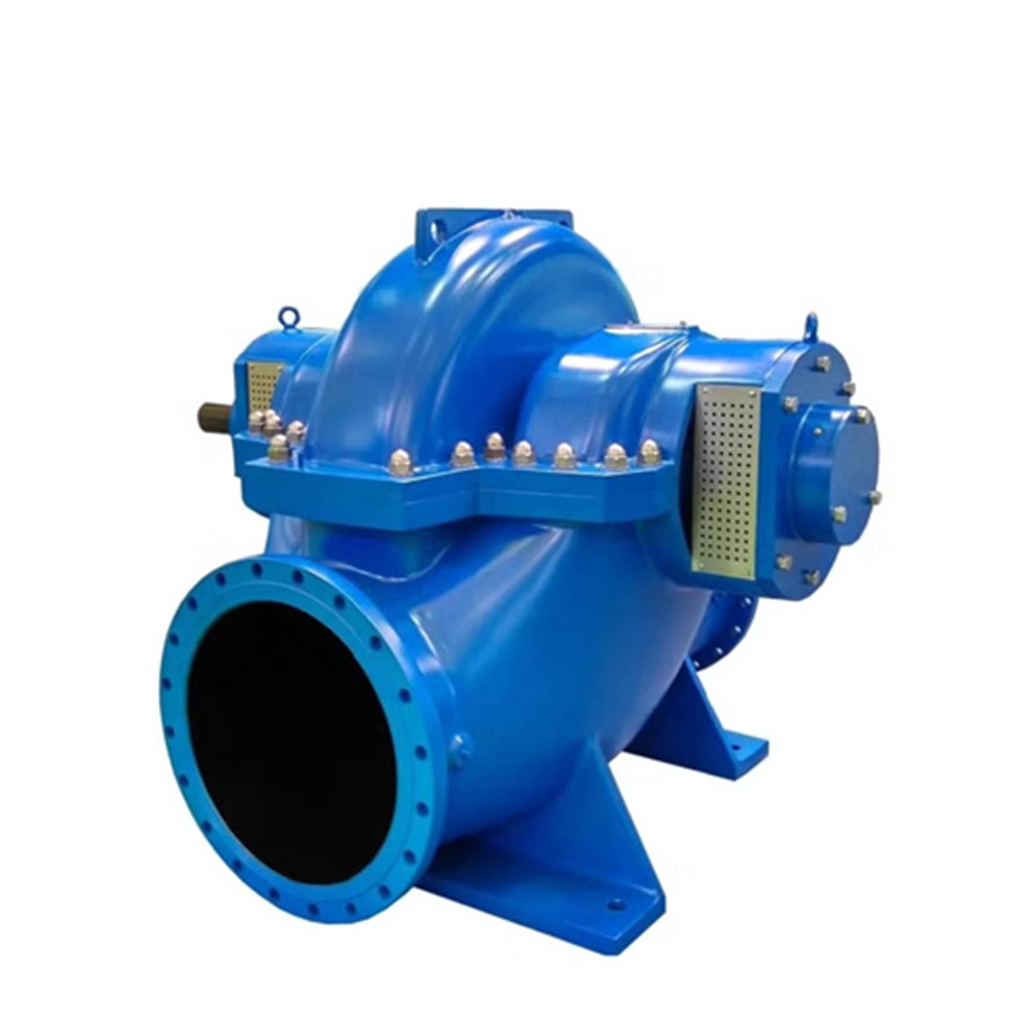 WPIL Pumps - SM India