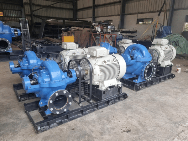 WPIL Pumps - SM India