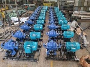 WPIL Pumps - SM India